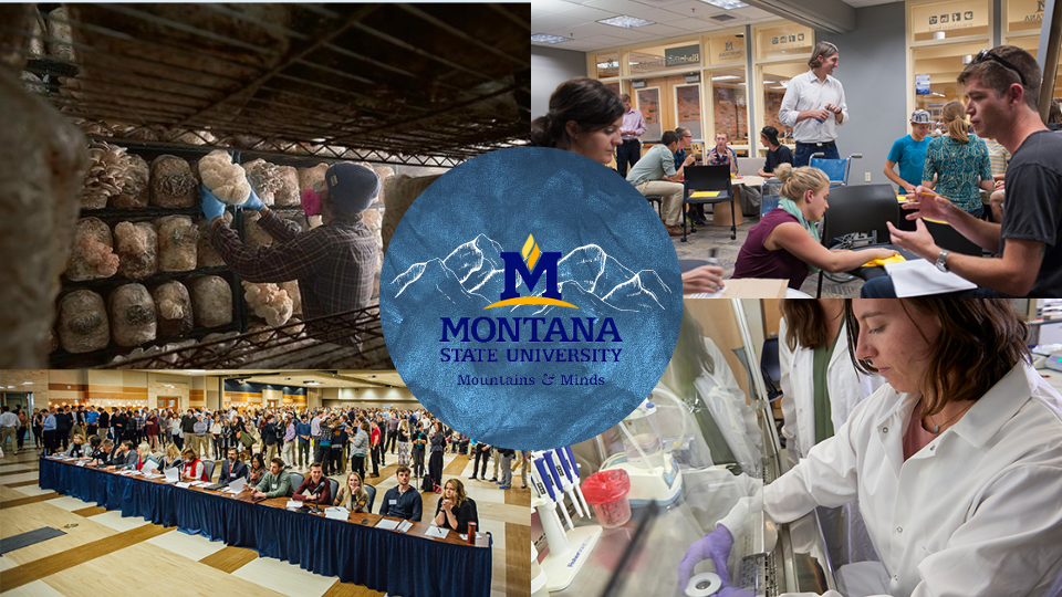 MSU Mountains and Minds: Advancing Entrepreneurship – SporeAttic